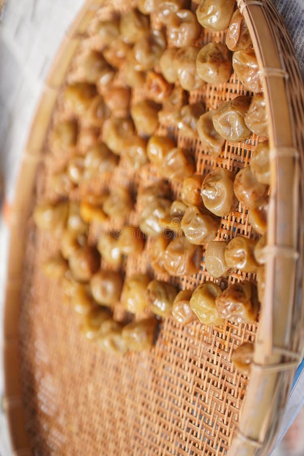 Making pickled plums stock image. Image of dried, hobbies - 243911055
