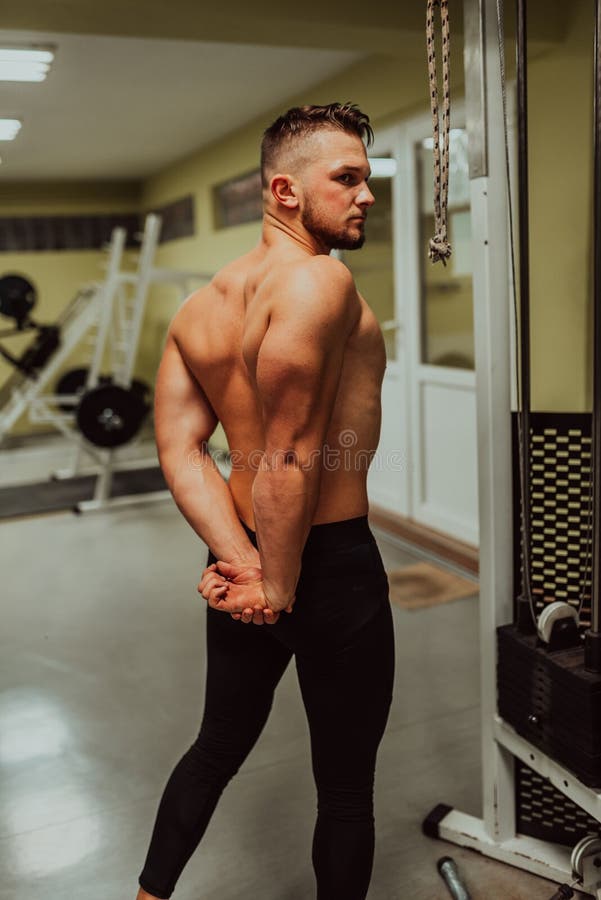 Image of a Man Bodybuilder from a Back at Gym. Stock Image - Image of ...