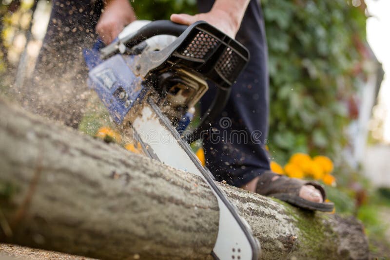 Image of Man with Chainsaw Sawing Log in Forest Stock Photo - Image of ...