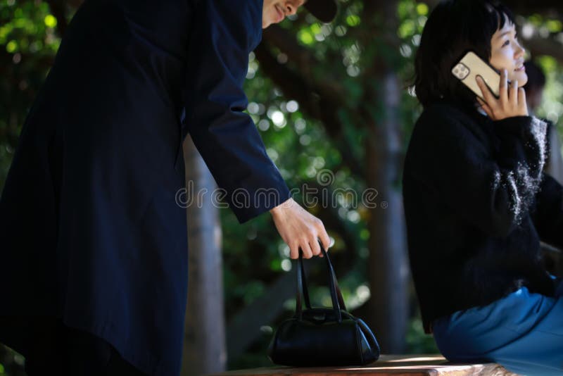 Man stealing a bag stock photo. Image of japanese, person - 248360044