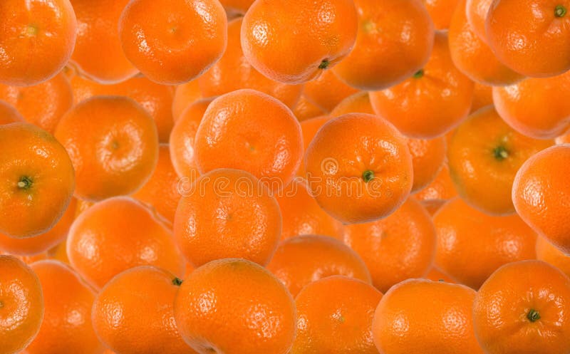 Image of Mandarin and Orange Close-up Stock Image - Image of mandarin ...