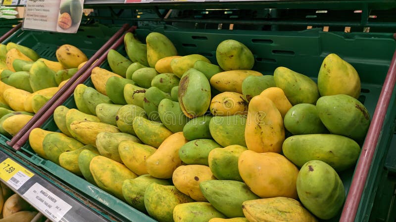 An Image of Mango Fruit with Green Yellowish Color Stock Image - Image ...