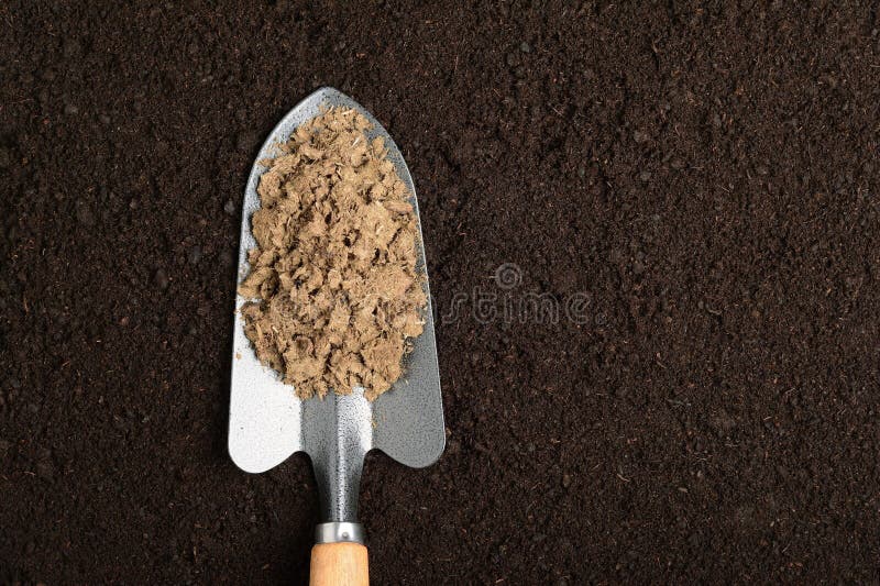 Manure in planting spoon stock photo. Image of gardening - 308622682