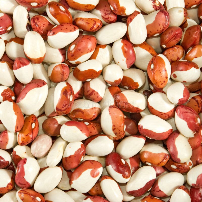 Image of Many Beans Closeup Stock Photo - Image of legume, diet: 64955810