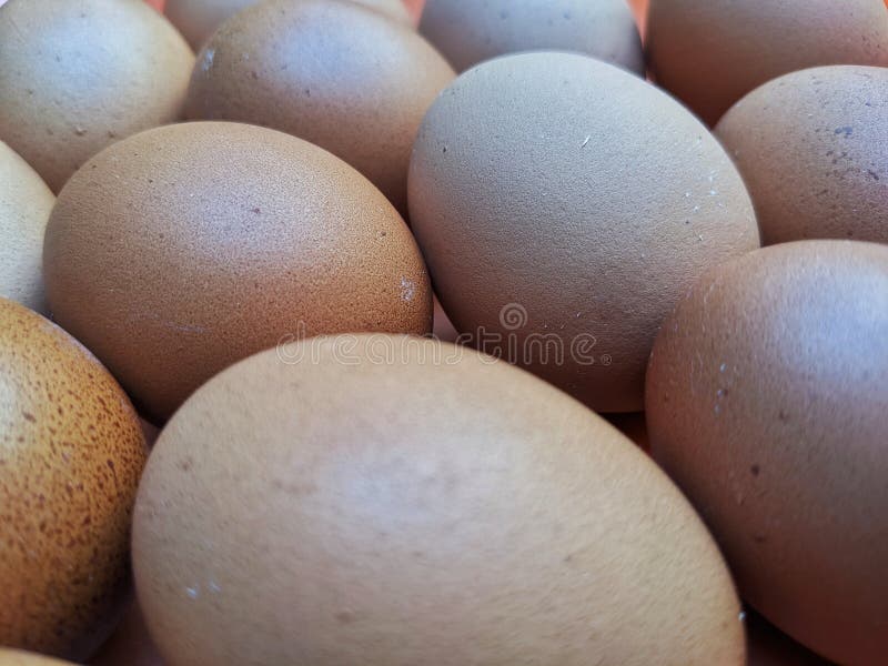 Image of Many Eggs in a Container Stock Photo - Image of container ...