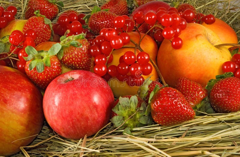 Image of many fruits stock photo. Image of cranberry - 61390782