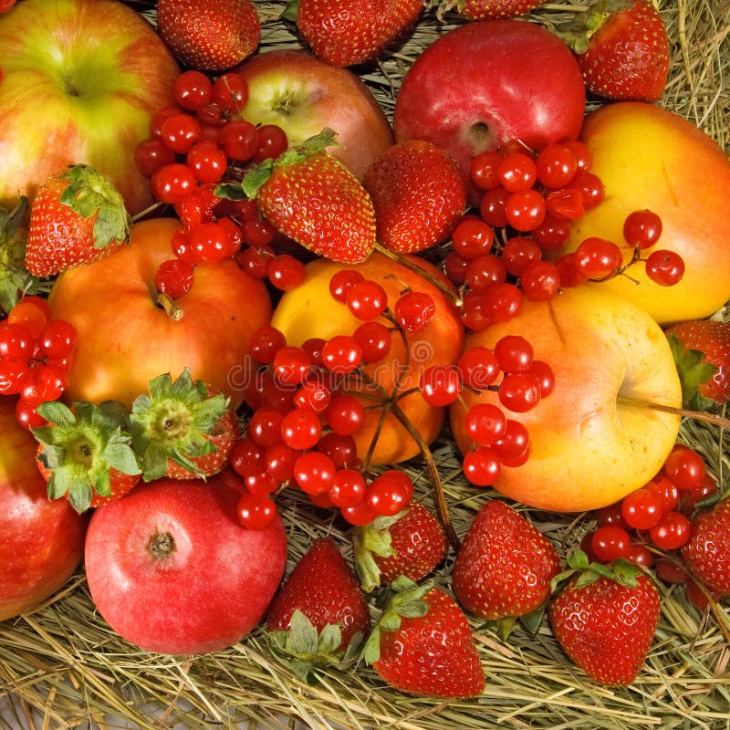 Image of Many Fruits Closeup Stock Photo - Image of currant, large ...