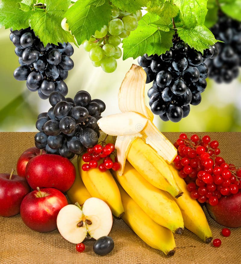 Image of Many Fruits in the Garden Closeup Stock Photo - Image of ...