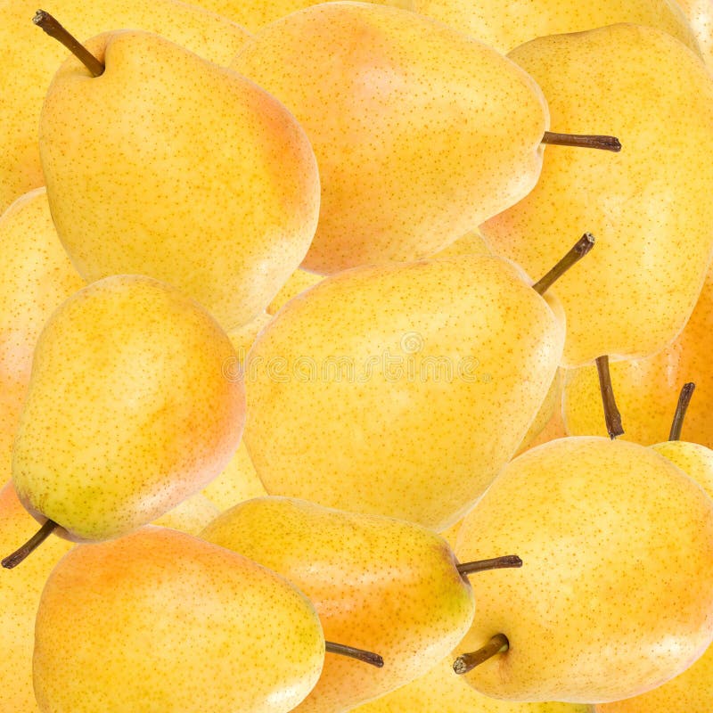 Image of Many Pears Close Up Stock Image - Image of bright, pear: 133556581