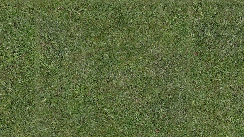 Texture Material Grass Herbs 3 Stock Image - Image of construction ...