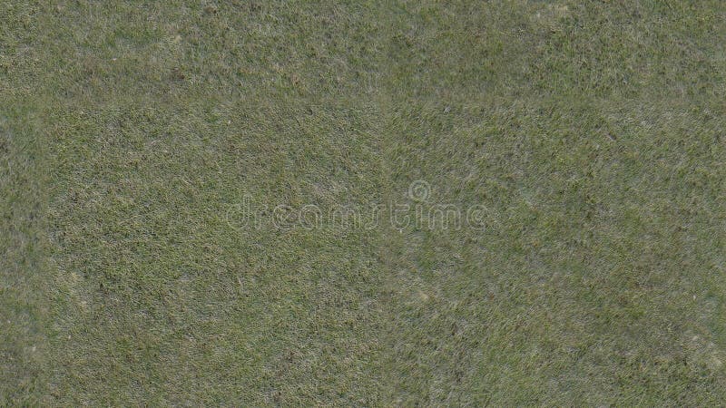 Texture Material Grass Herbs 5 Stock Image - Image of cement, bricks ...