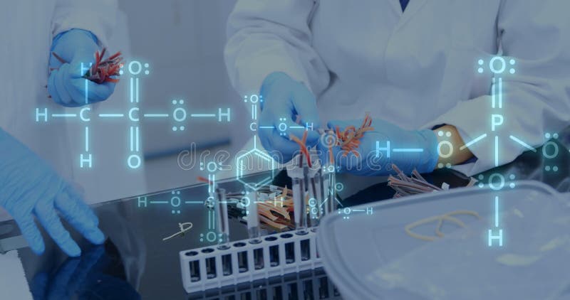 Image of Mathematical Equations Over Caucasian Doctors Taking Samples ...