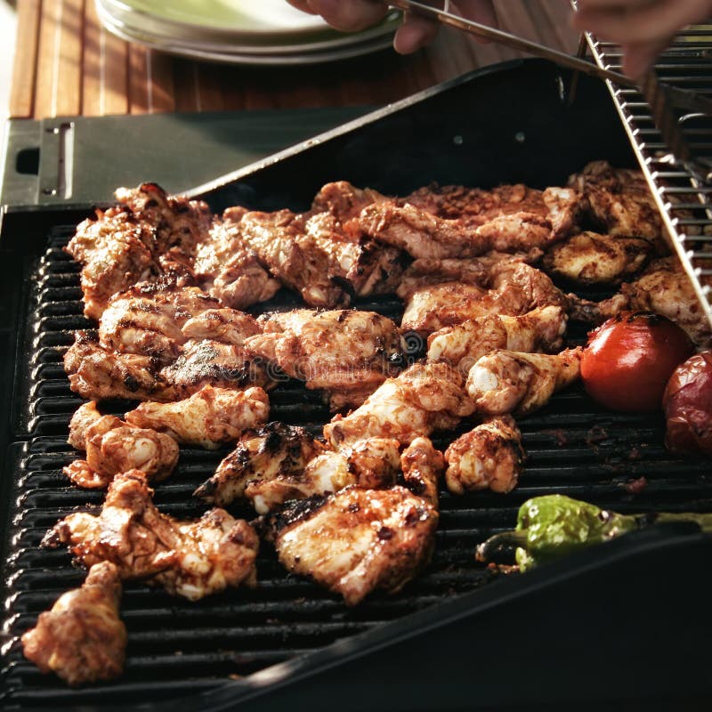 Meats on barbecue stock photo. Image of party, firewood - 119199362