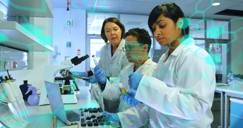 Image of Medical Data Processing Over Group of Diverse Scientists ...