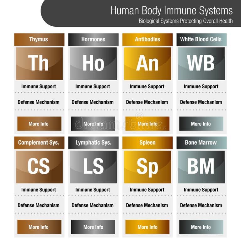 Immune Defense Chart Stock Illustrations – 32 Immune Defense Chart ...