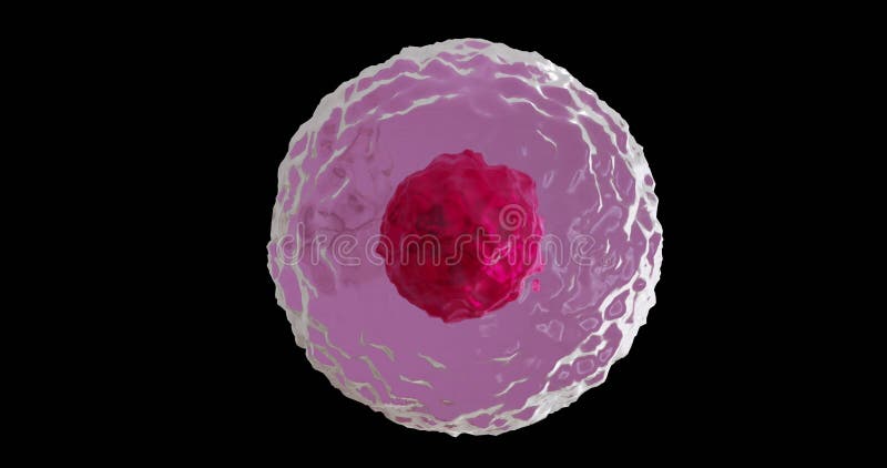 Image of Micro of Red and Pink Cell on Black Background Stock ...