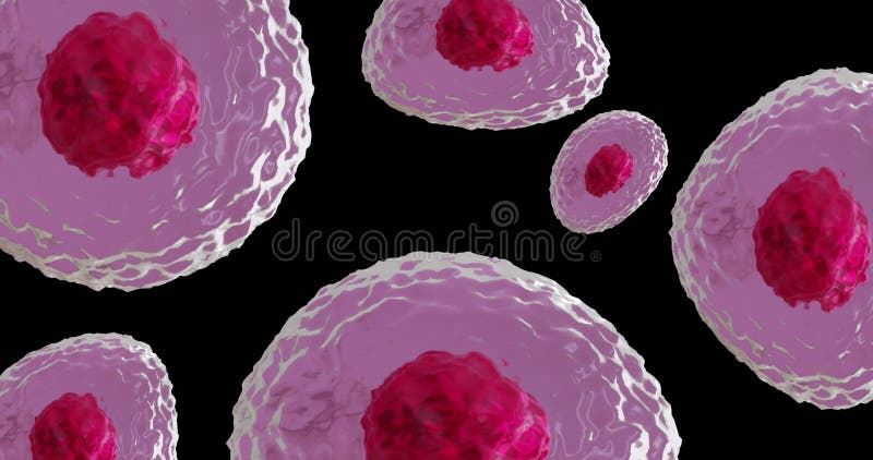 Image of Micro of Red and Pink Cells on Black Background Stock ...