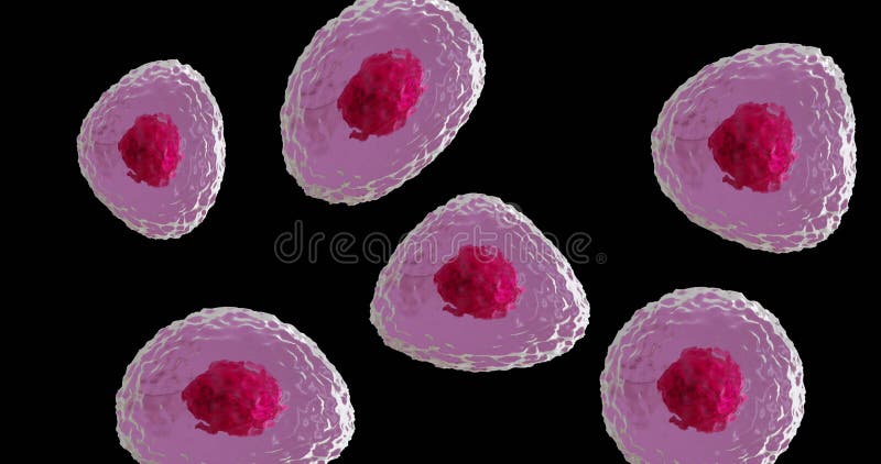 Image of Micro of Red and Pink Cells on Black Background Stock ...