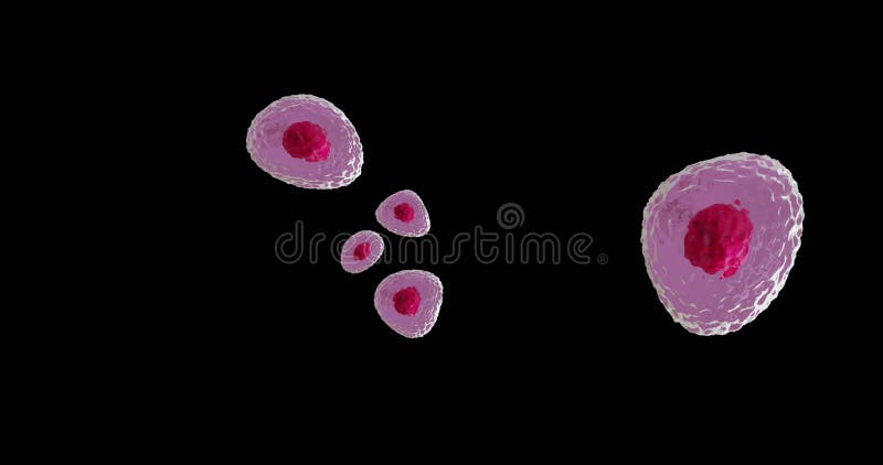 Image of Micro of Red and Pink Cells on Black Background Stock Photo ...