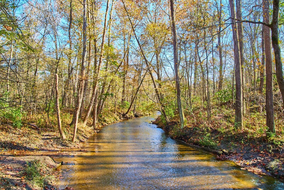Midwest America River in Forest during Fall Stock Photo - Image of fall ...