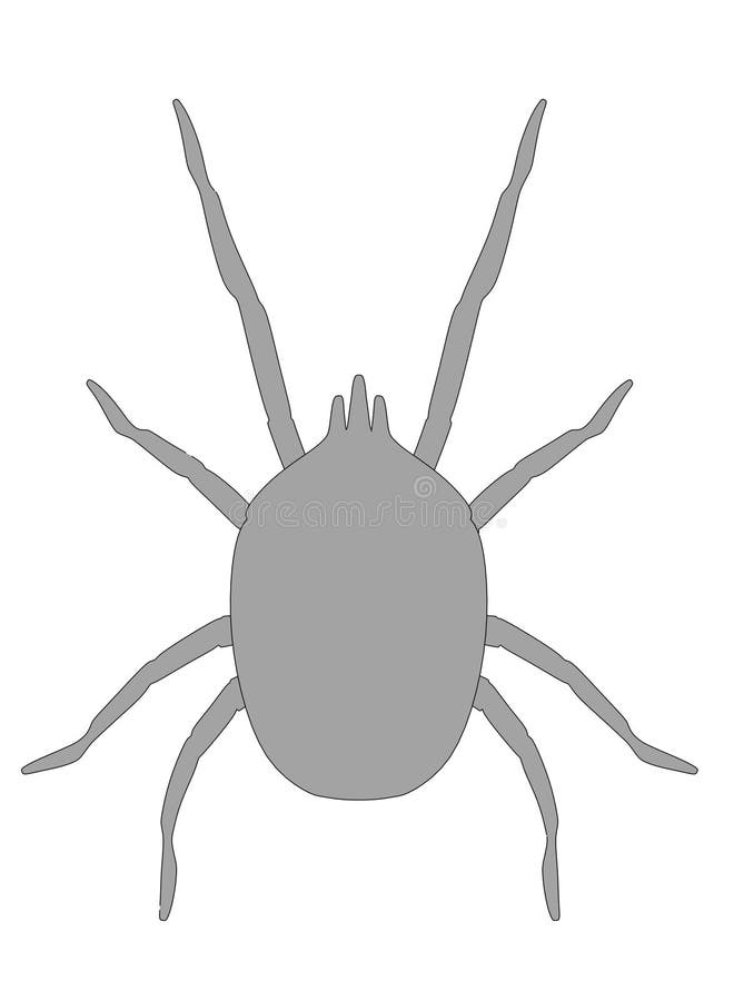 Image of mite animal stock illustration. Illustration of insect - 38428240