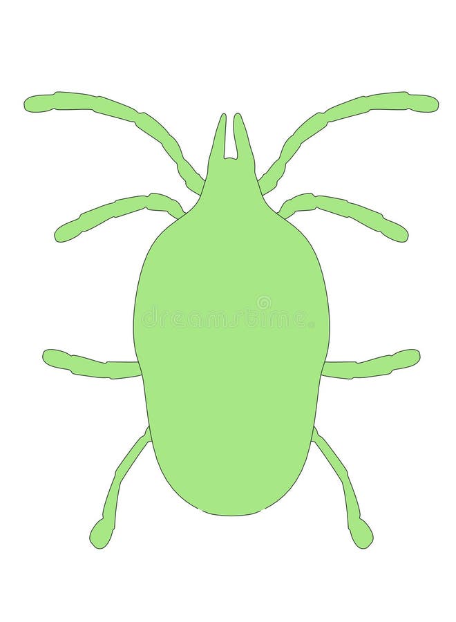 Image of mite animal stock illustration. Illustration of drawing - 38602183