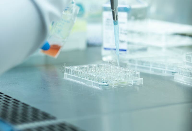 Image of a Modern Laboratory, Featuring Various Test Tubes Filled with ...