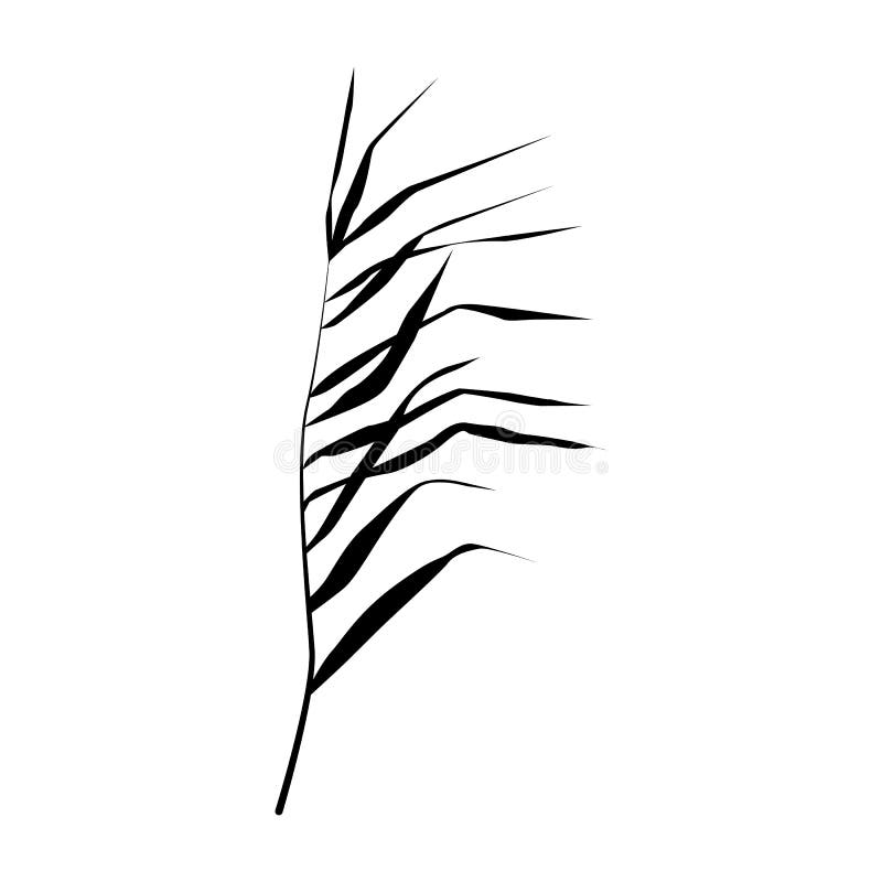 Monochrome Reed Stock Illustrations – 272 Monochrome Reed Stock ...