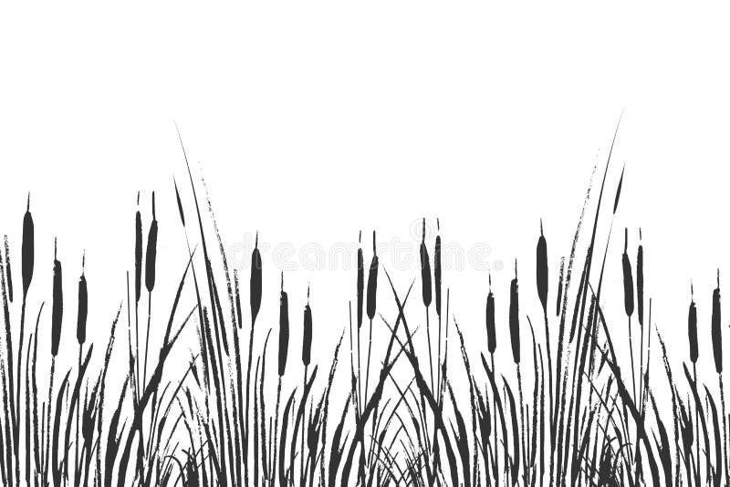 Monochrome Reed Stock Illustrations – 272 Monochrome Reed Stock ...