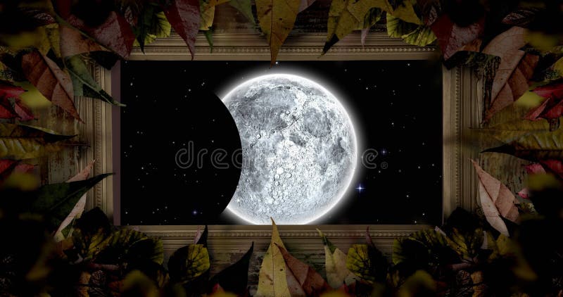 Image of Moon Eclipse in Leaf Frame Stock Image - Image of environment ...