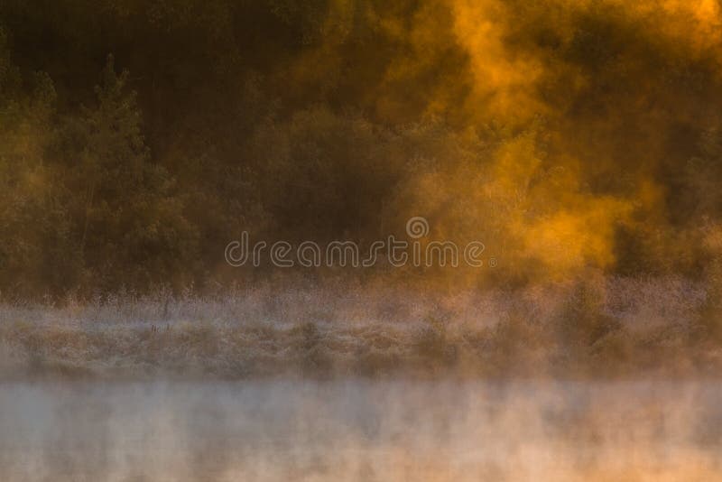 Morning Mist Over the Surface of Water Stock Photo - Image of serenely ...