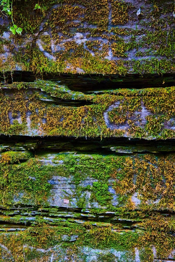 Moss Covers Rocks in Texture Detail of Wall Stock Image - Image of ...