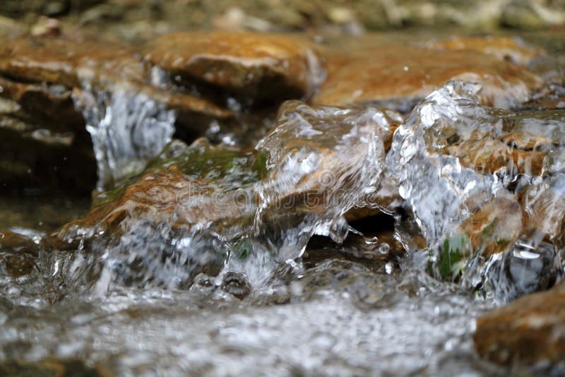 Mountain Stream with Clean Water Stock Photo - Image of palms ...
