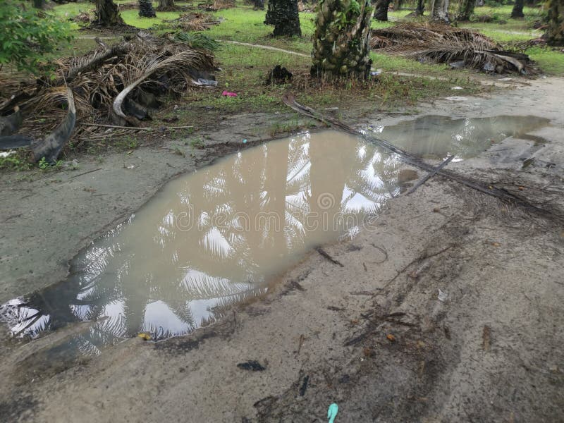 Muddy Pool of Water Collected on the Sandy Ground Stock Image - Image ...