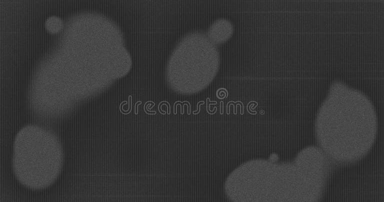 Image of Multiple Grey Splodges and Lines Moving on Seamless Loop Stock ...