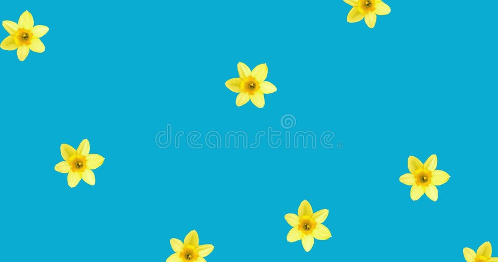 Image of Multiple Yellow Flowers Moving Over Blue Background Stock ...