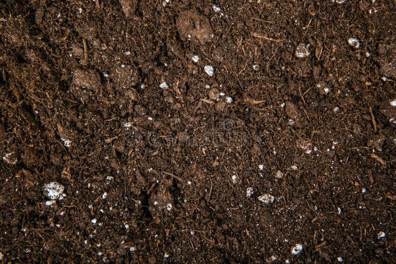 Image of Natural Ground Background Stock Photo - Image of dust, humus ...