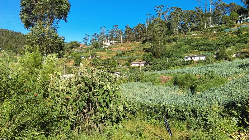 This Image is a Natural Real Mountain in the Morning Stock Image ...