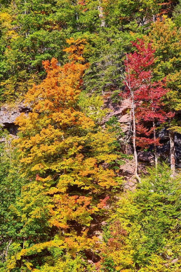 New York Fall Forest Patch in Cliffs with Colorful Yellow, Orange, and ...