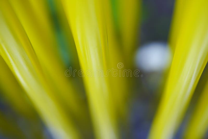 An Image of a Nice Abstract Lines Background Abstract Line Colorful ...