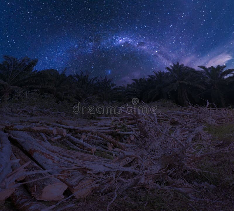 Lumber Constellation Stock Photos - Free & Royalty-Free Stock Photos ...