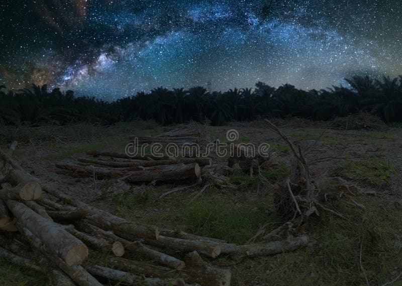 Lumber Constellation Stock Photos - Free & Royalty-Free Stock Photos ...