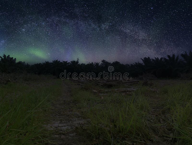 Lumber Constellation Stock Photos - Free & Royalty-Free Stock Photos ...