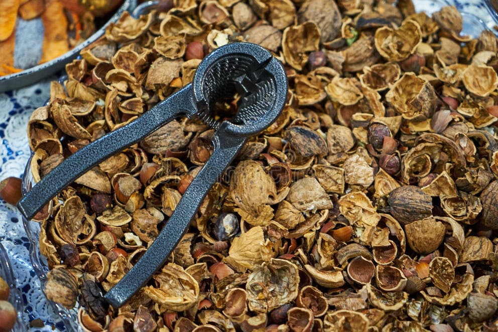 Image of a nutshell stock photo. Image of natural, peel - 188701632