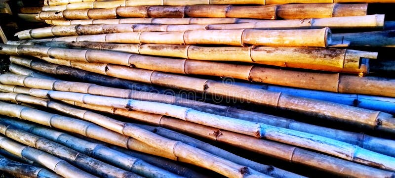Decay Bamboos Stock Photos - Free & Royalty-Free Stock Photos from ...