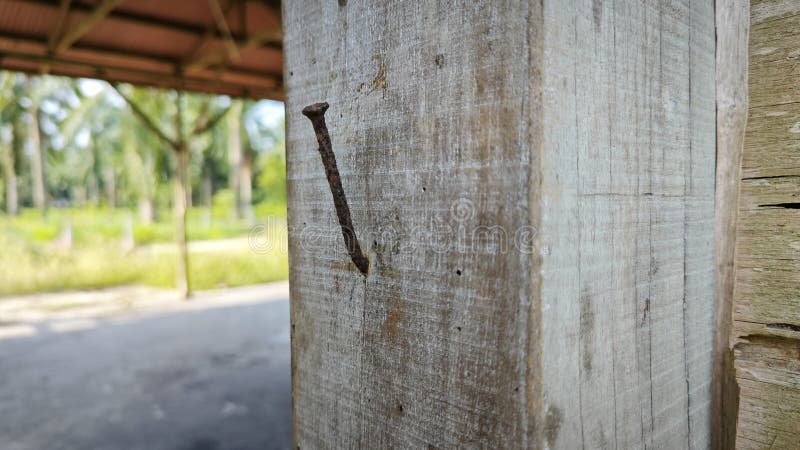 Old Rusty Nail on the Building Weathered Wood Texture. Stock Photo ...