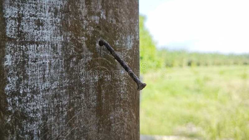 Old Rusty Nail on the Building Weathered Wood Texture. Stock Photo ...
