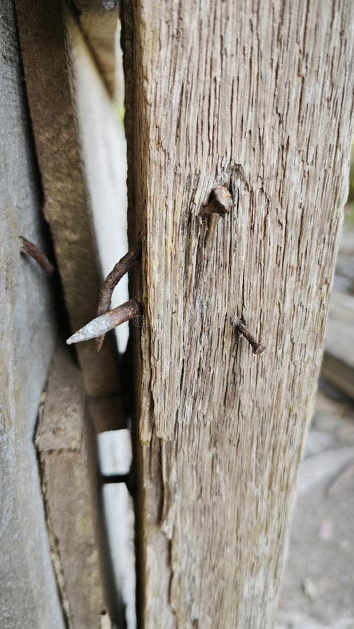 Old Rusty Nail on the Building Weathered Wood Texture. Stock Photo ...