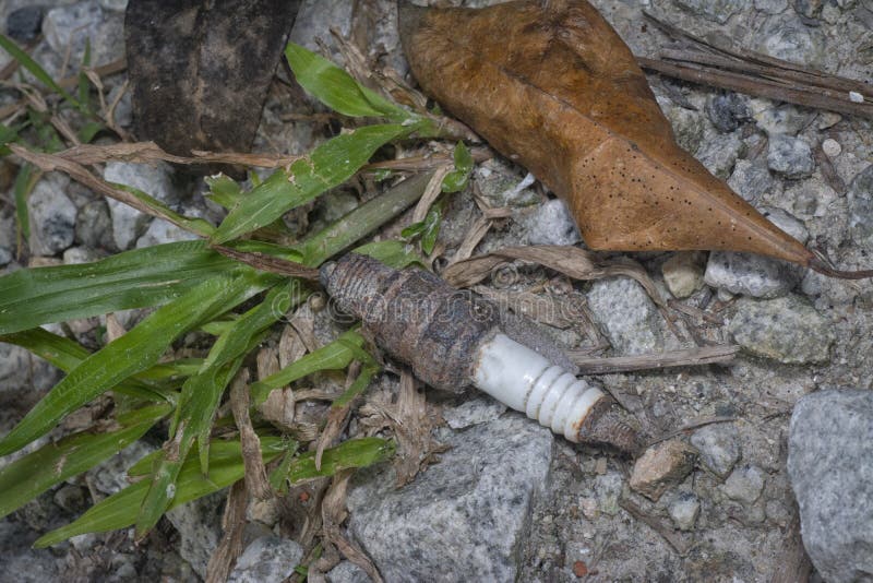 Image of an Old Rusty Spark Plug Stock Photo - Image of electric, head ...