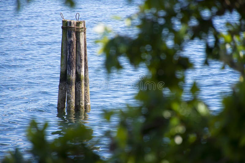 Old Weathered Dock Pillars and Water Reflections Stock Photo - Image of ...